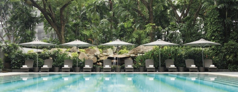 Singapore darling | The FNL Guide