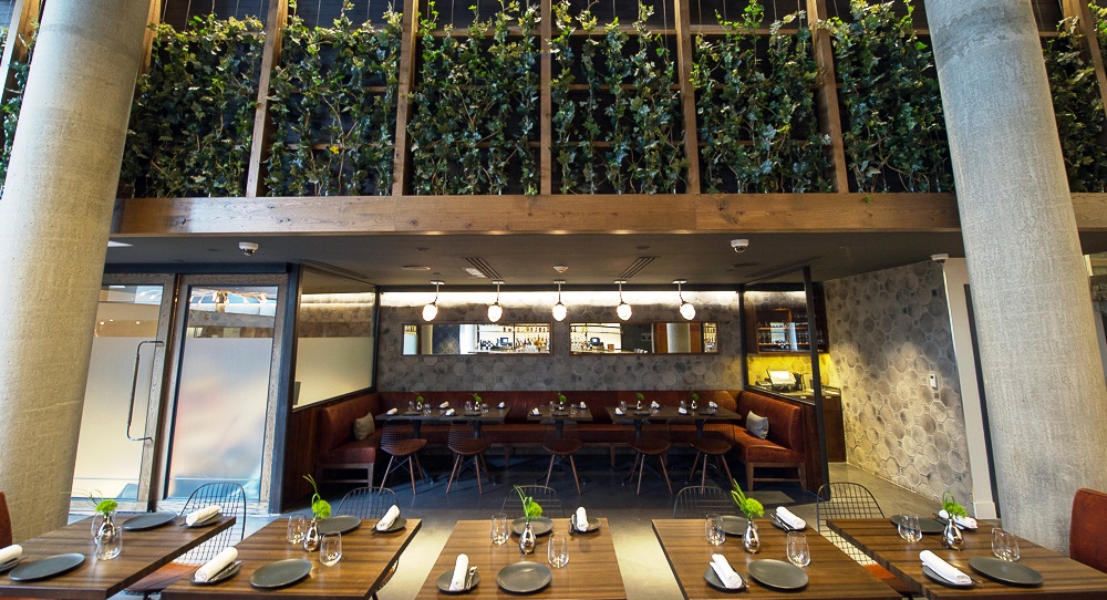 The Elm* restaurant: Ένα «δέντρο» μεγαλώνει στο Μπρούκλυν | The FNL Guide