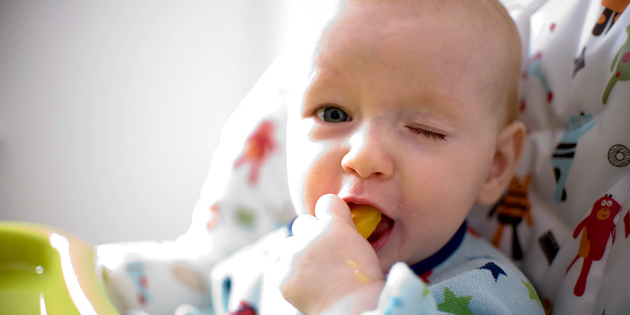 Η δημιουργία της γευστικής μας παλέτας | The FNL Guide