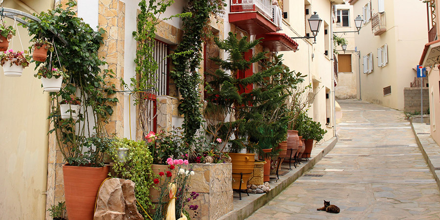 Καλαμάτα: η επανεκκίνηση έχει ξεκινήσει | The FNL Guide