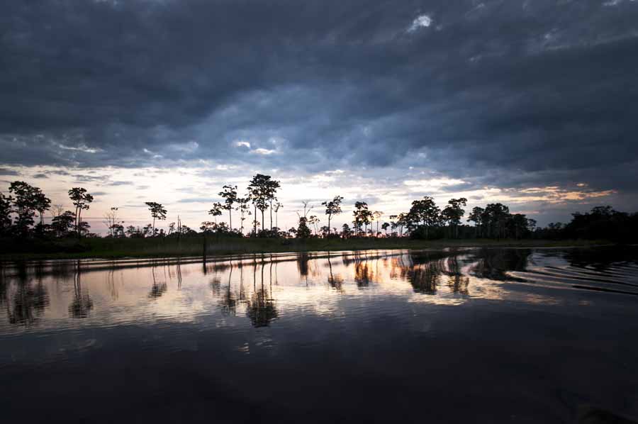 Αμαζόνιος | The FNL Guide | We influence the influencers