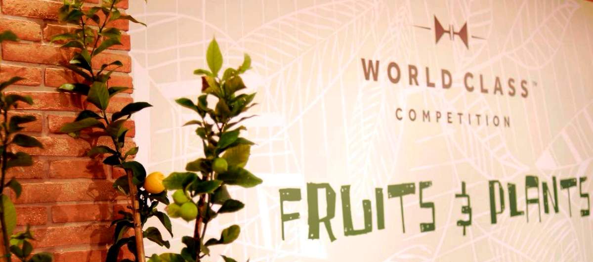 Fruits & Plants: Ξεκίνησε η δεύτερη φάση του World Class 2016 | The FNL ...