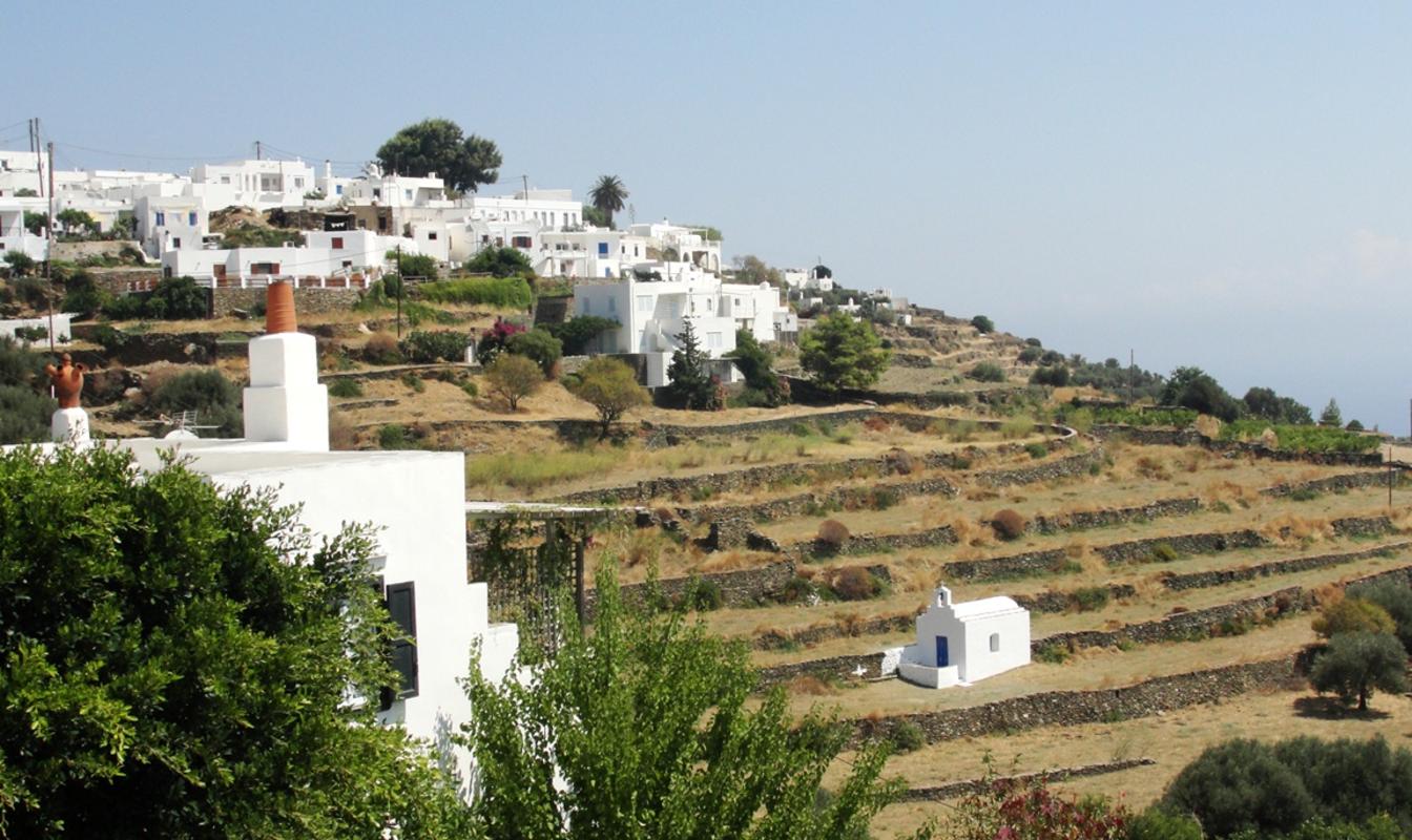Σίφνος, η γεύση του τόπου | The FNL Guide